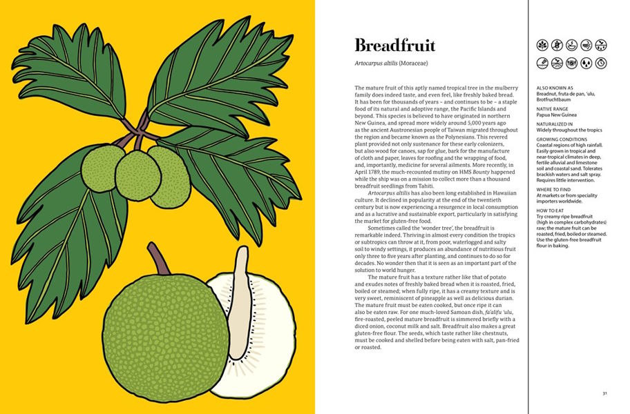 Edible | Kitchen Arts & Letters