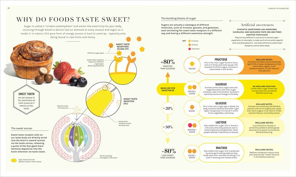 The Science of Flavor: Unlock the Secrets of Flavorful Cooking ...