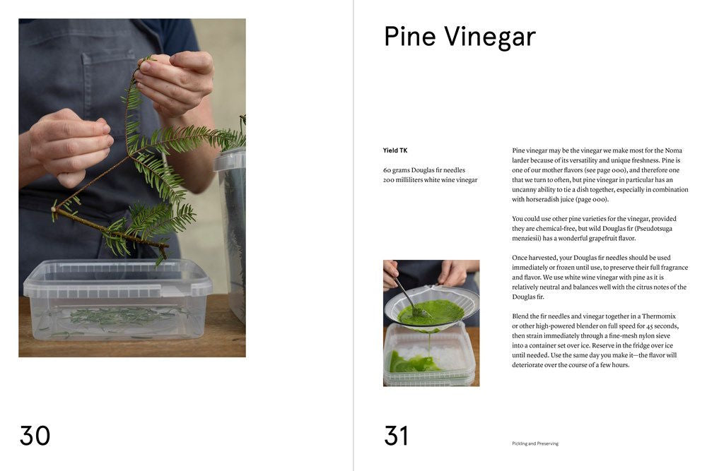 The Noma Guide to Building Flavour | Kitchen Arts & Letters
