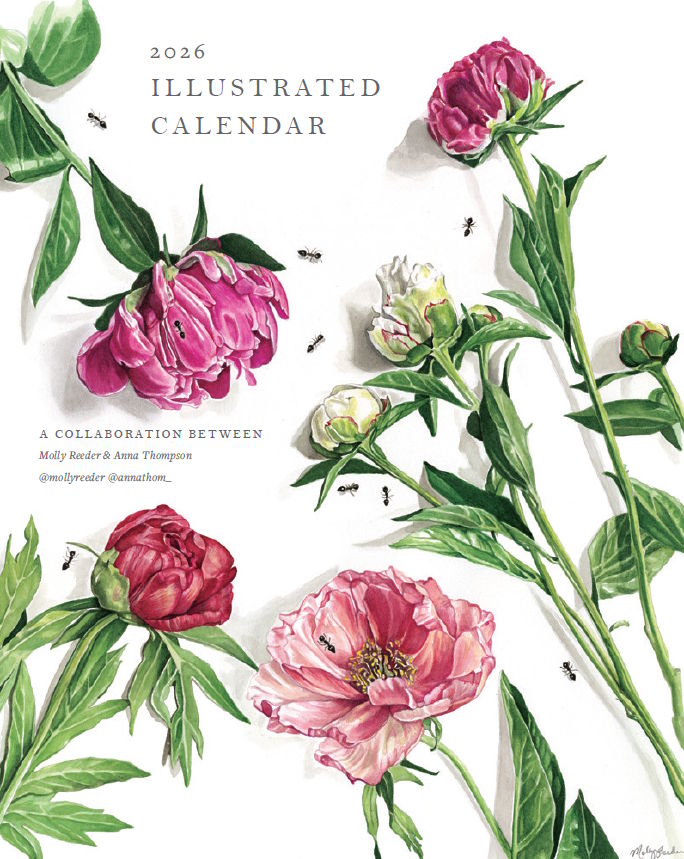 2026 Molly Reeder Illustrated Calendar | Kitchen Arts & Letters