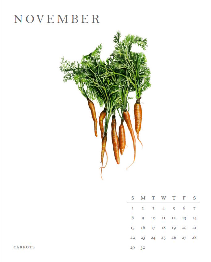 2026 Molly Reeder Illustrated Calendar | Kitchen Arts & Letters