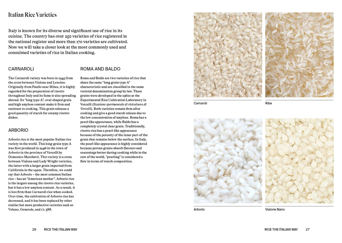 Rice, the Italian Way | Kitchen Arts & Letters