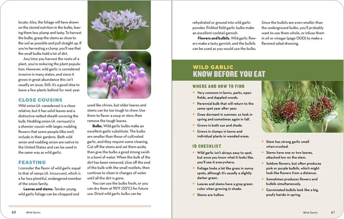 How to Forage for Wild Foods without Dying | Kitchen Arts & Letters