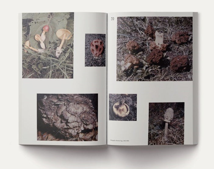 John Cage: A Mycological Foray--Variations on Mushrooms – Kitchen Arts ...