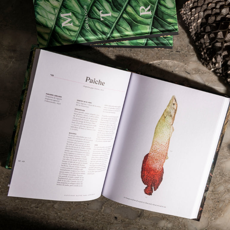 Mater Catalogue: 30 Species for Central (English) – Kitchen Arts & Letters