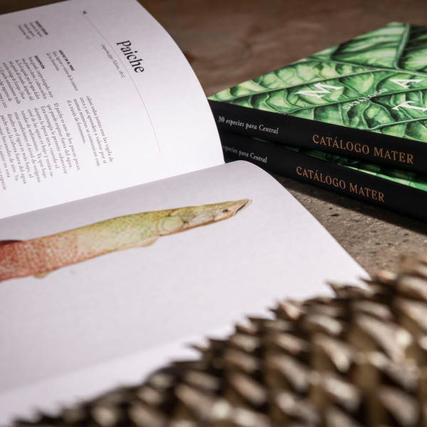 Mater Catalogue: 30 Species for Central (English) – Kitchen Arts & Letters