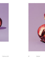 Odd Apples: Standard Edition – Kitchen Arts & Letters
