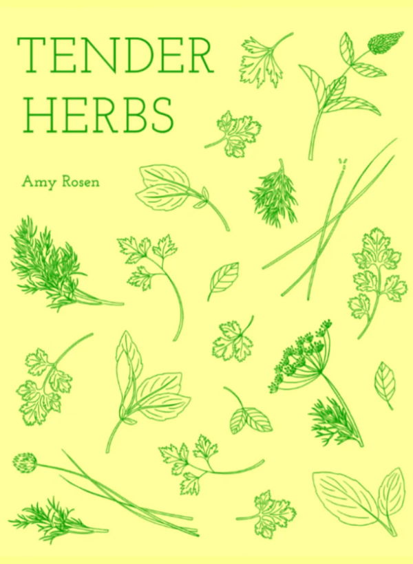 Buy Tender Herbs by Amy Rosen – Kitchen Arts & Letters
